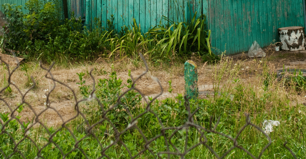 Landscaping Damage - Chad T. Wilson Law Firm