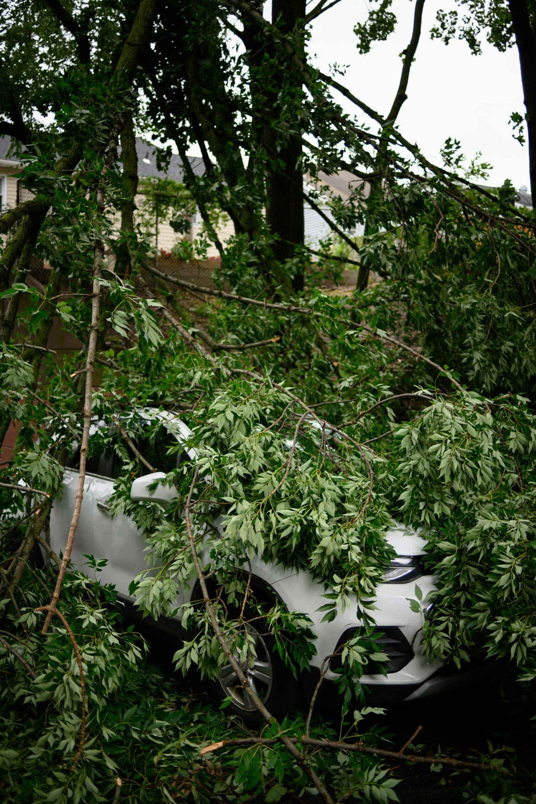 Hail and Wind Damage Claims Lawyer Longmont CO | Chad T. Wilson Law Firm